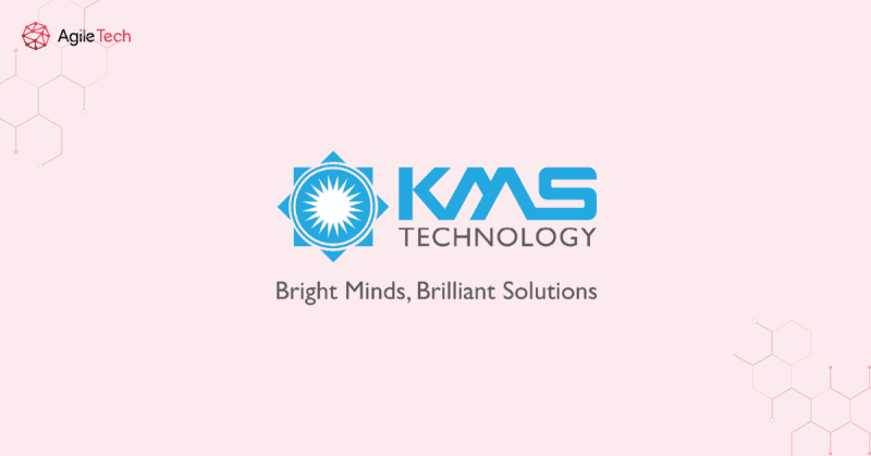 Best Software Companies in Vietnam - A Brief Overview